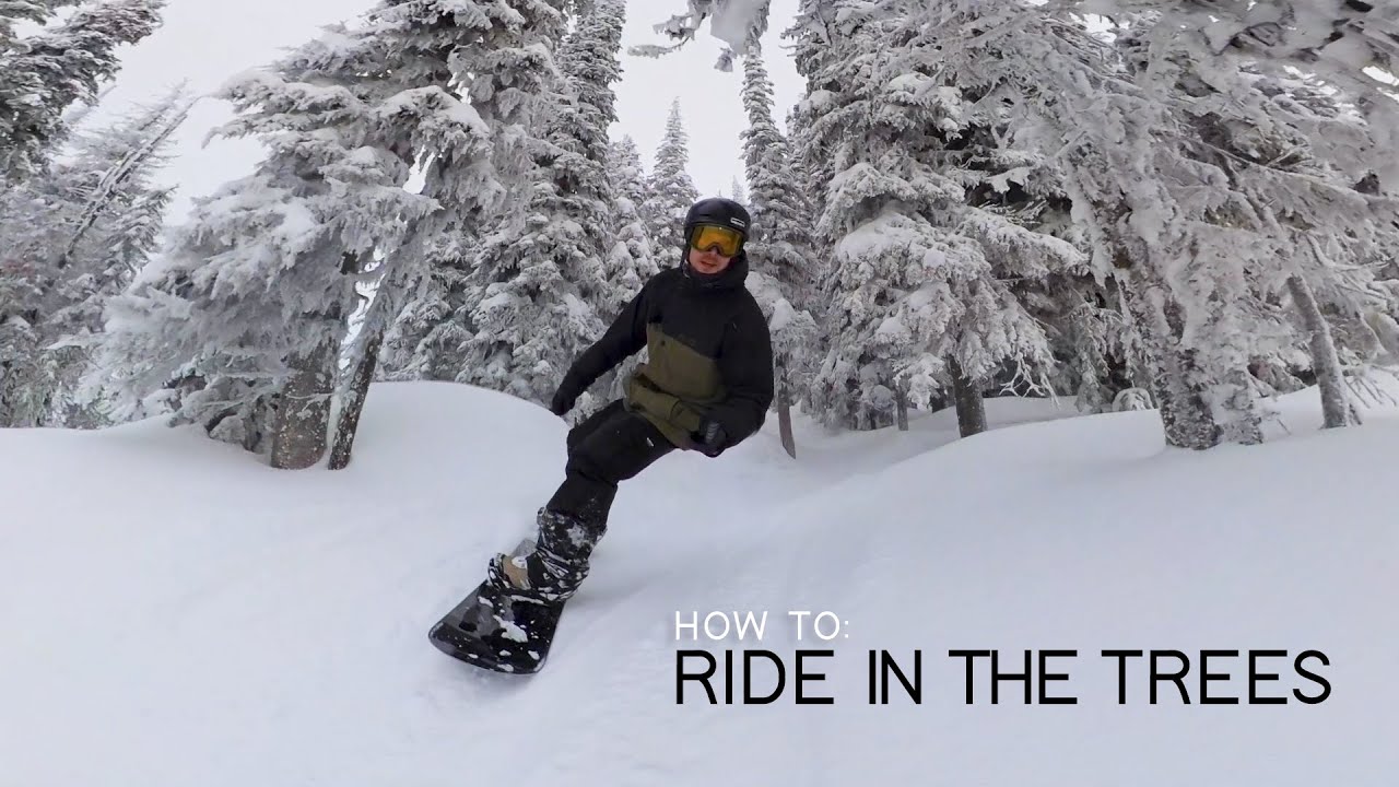 How to Snowboard in the Trees | 3 Simple Tips to Riding Confidently in ...